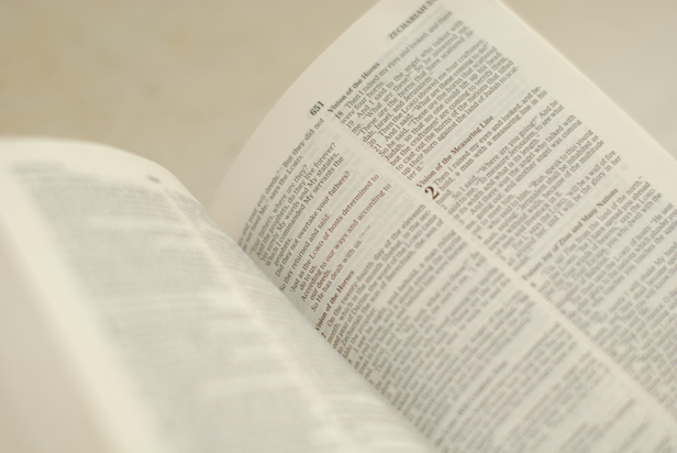 COLOR YOUR BIBLE | Sarah Keller: COLOR YOUR BIBLE