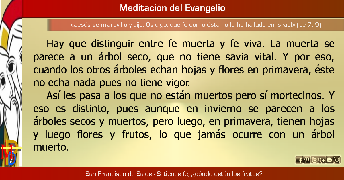 Un Padrenuestro Un Avemaría Y Un Gloria Por El Papa MeditaciÓn Del