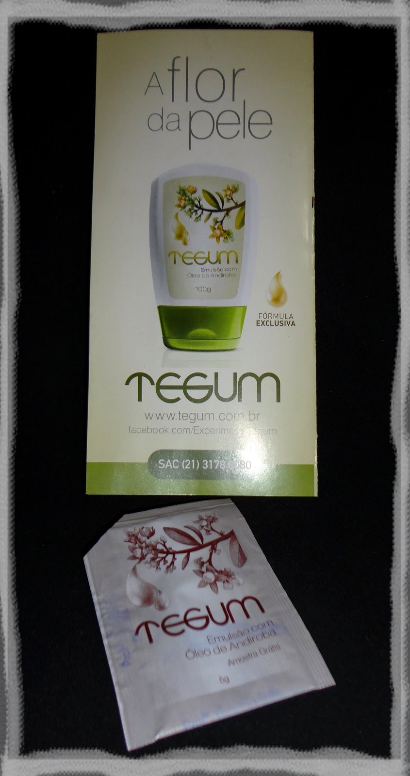 Blog Vanessa Sial : Testei amostra Tegum Emulsão com Óleo de Andiroba