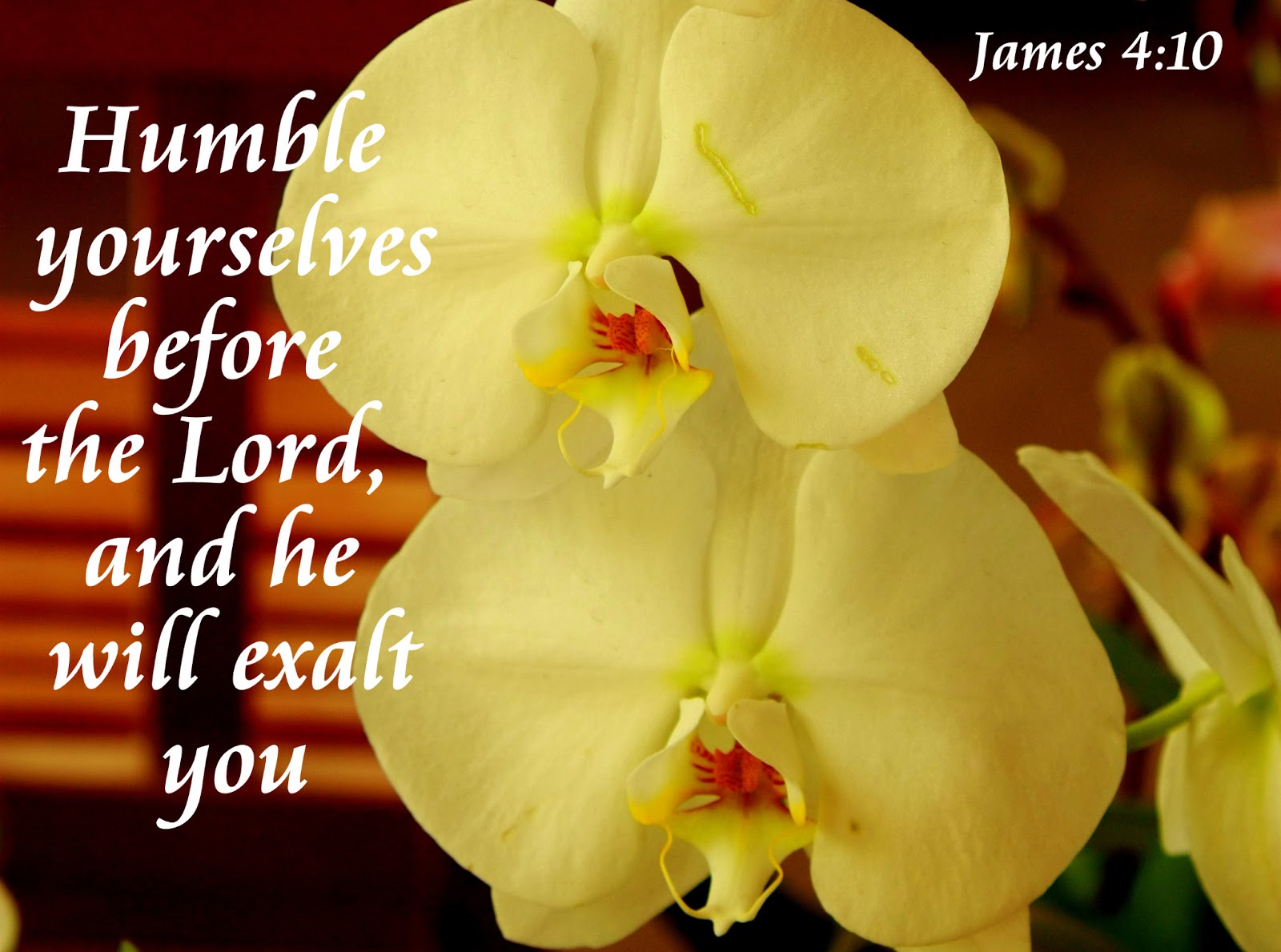Humble yourselves before the Lord