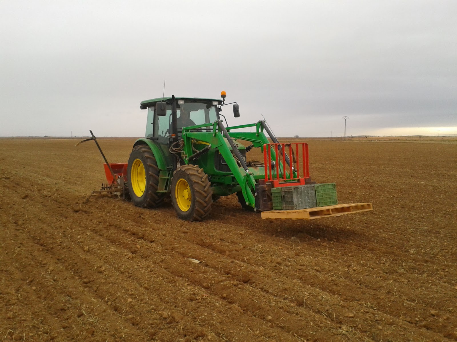 Garlic: Mechanical planter