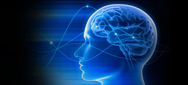 Conditioning Of The Brain