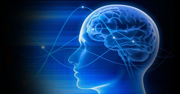 Conditioning Of The Brain