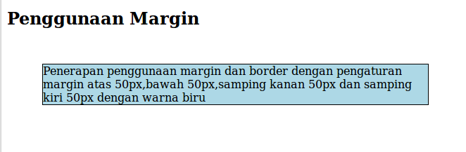 CSS-Mengenal Margin,Padding dan Model Kotak - Risanurhaeni