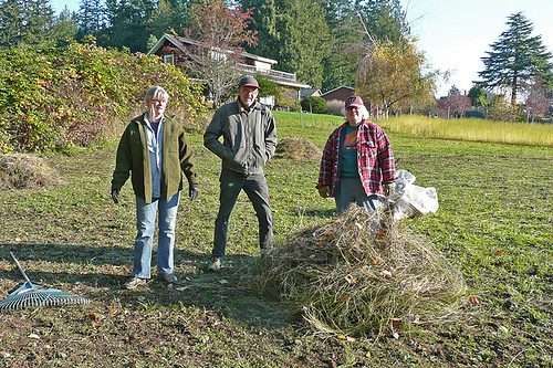flax to linen victoria bc: Harvest
