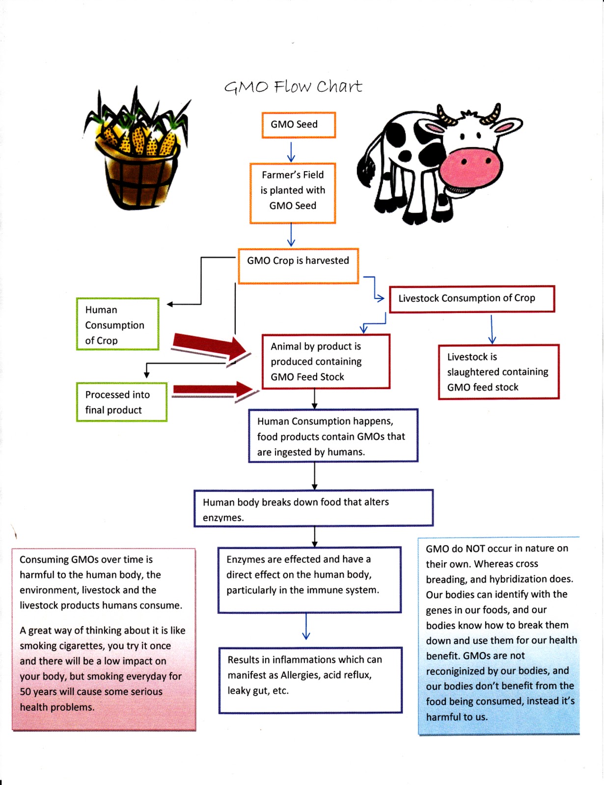 Organic Blueberries from Sunset Valley Organics: Quick View Of GMO's