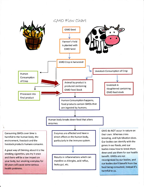 Organic Blueberries from Sunset Valley Organics: Quick View Of GMO's