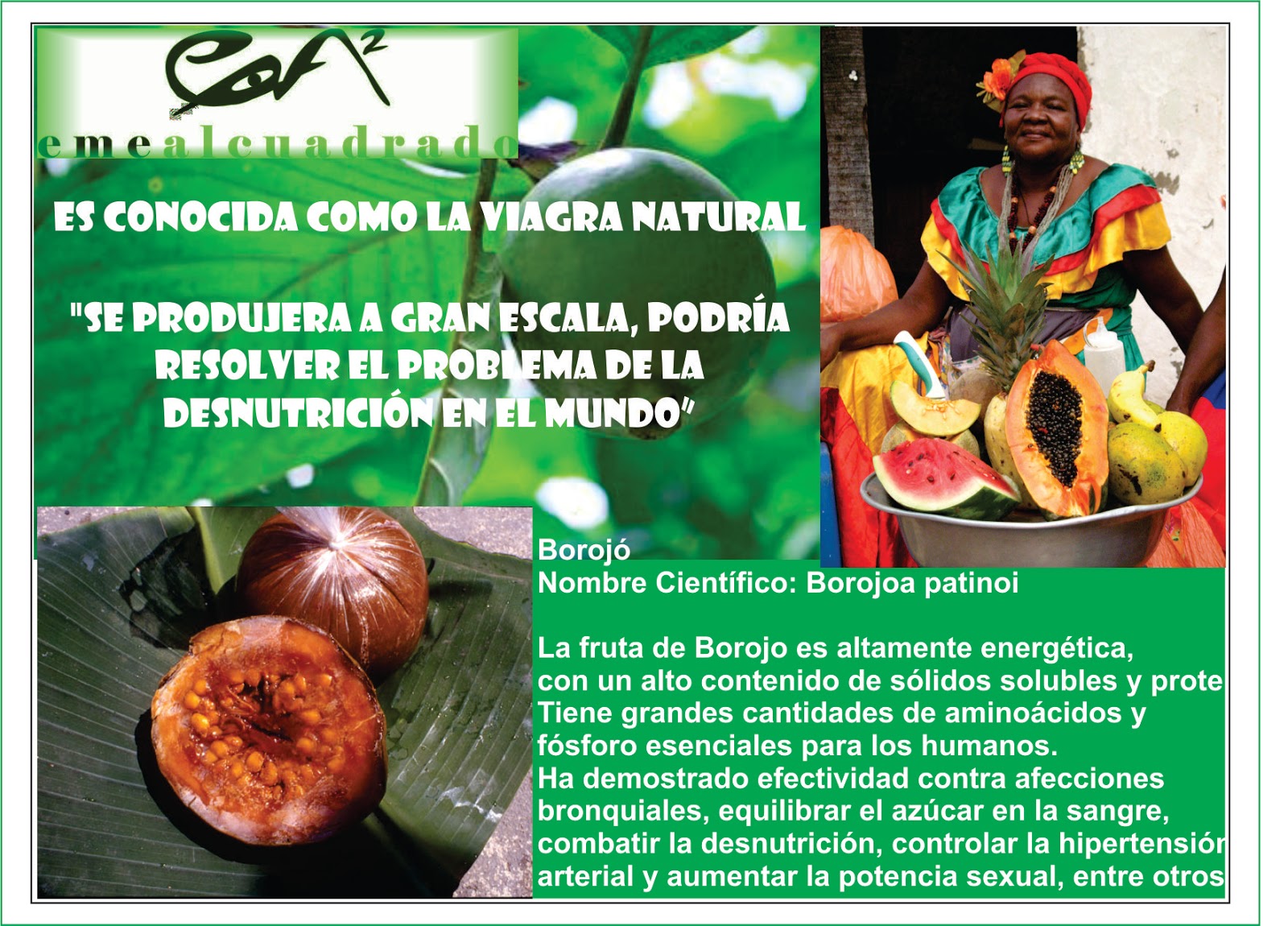 Life Food: Propiedades de Borojó