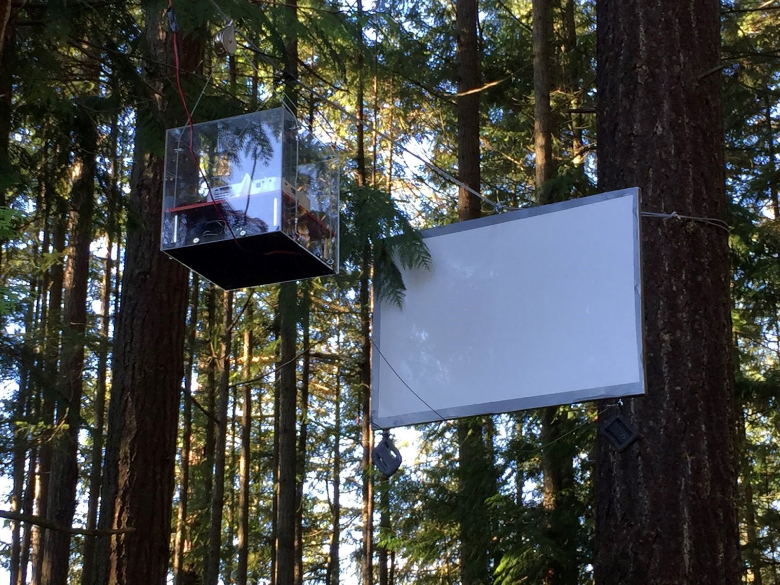 Shoreline Area News: Augmented Nature exhibition explores nature, art ...