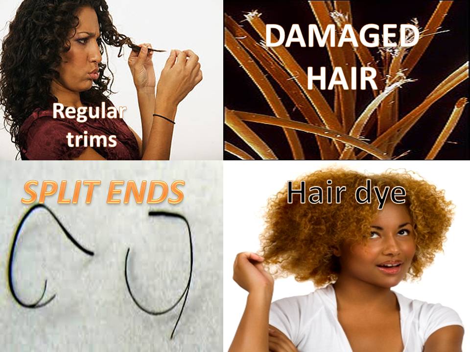 CoilyQueens™ : Five top reasons for chronic split ends