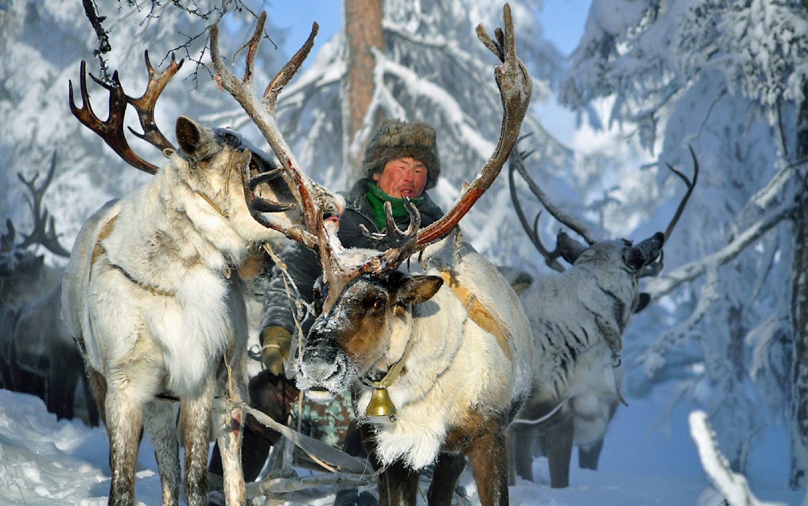 Travel & Adventures: Sakha Republic - Yakutia ( Саха - Якутия ). A ...