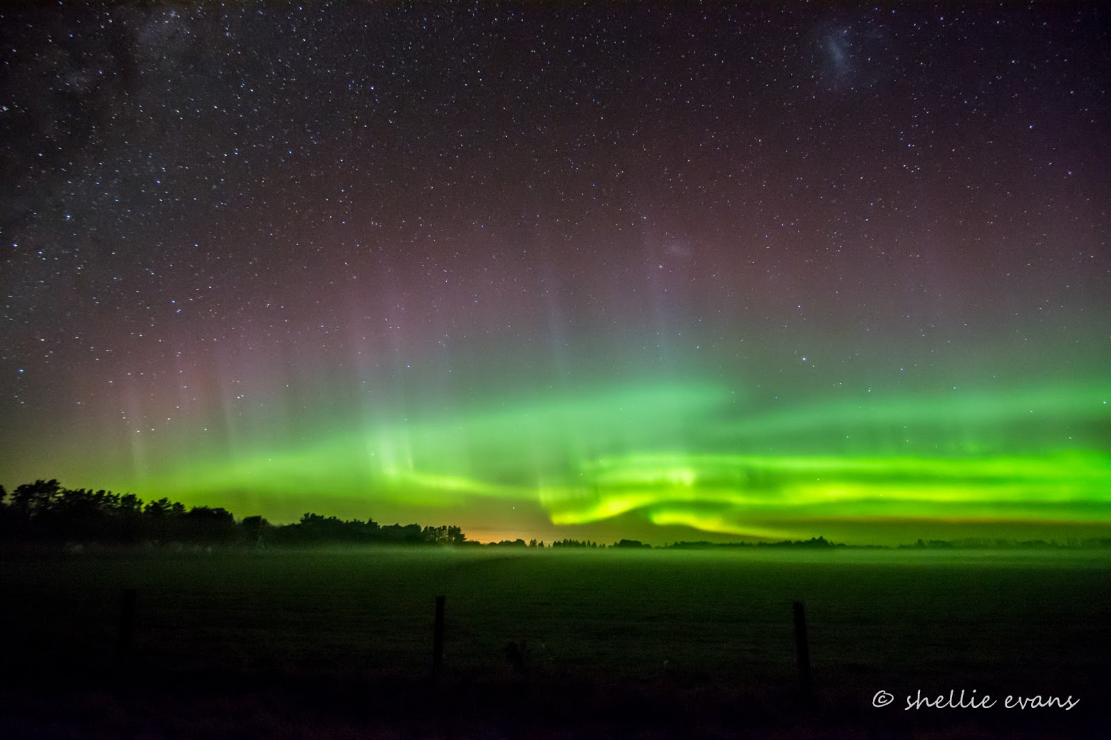 Two Go Tiki Touring: Absolutely Amazing Aurora