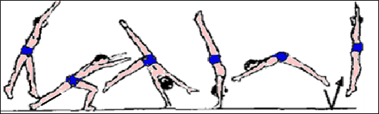 La ciencia del deporte en la gimnasia artistica