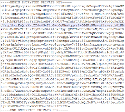 Tech Experiment: Create and read PKCS #8 format private key in java ...