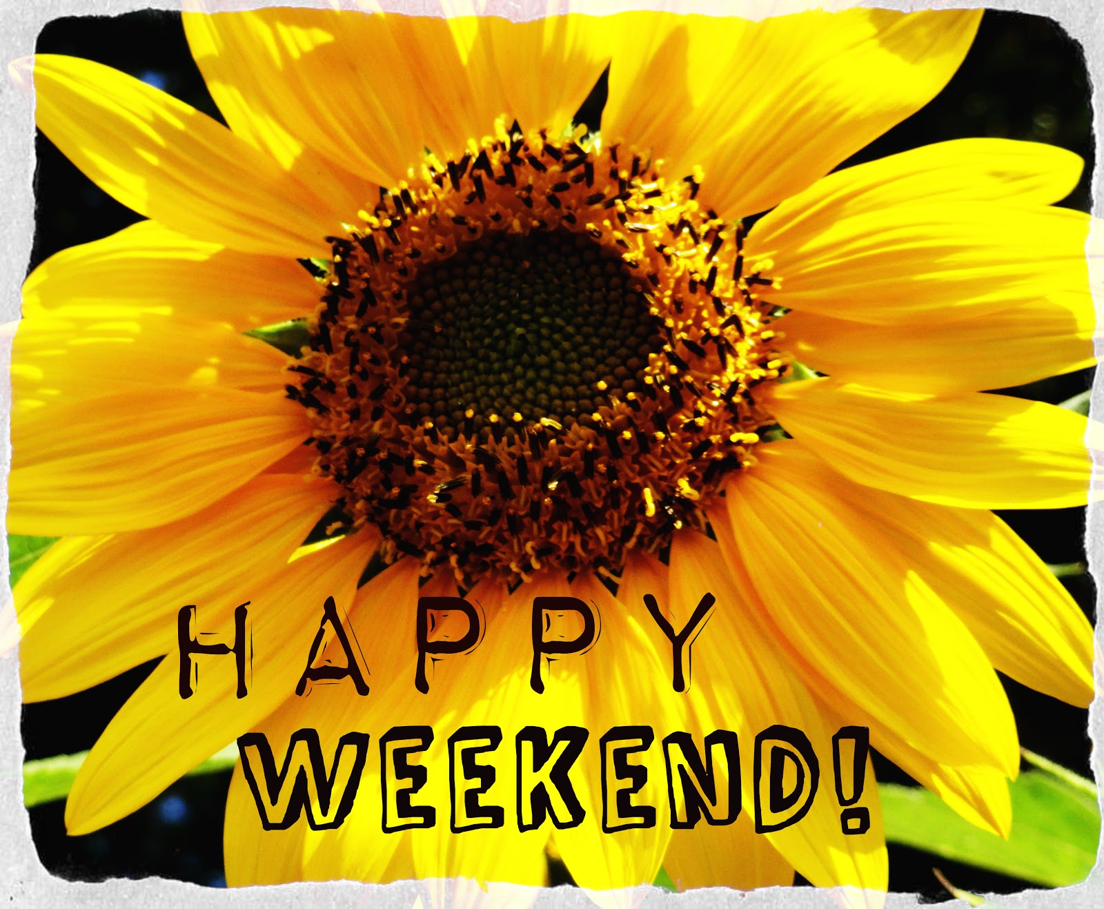 Hudson's Holidays - Designer Shirley Hudson: Pumpkin ornaments