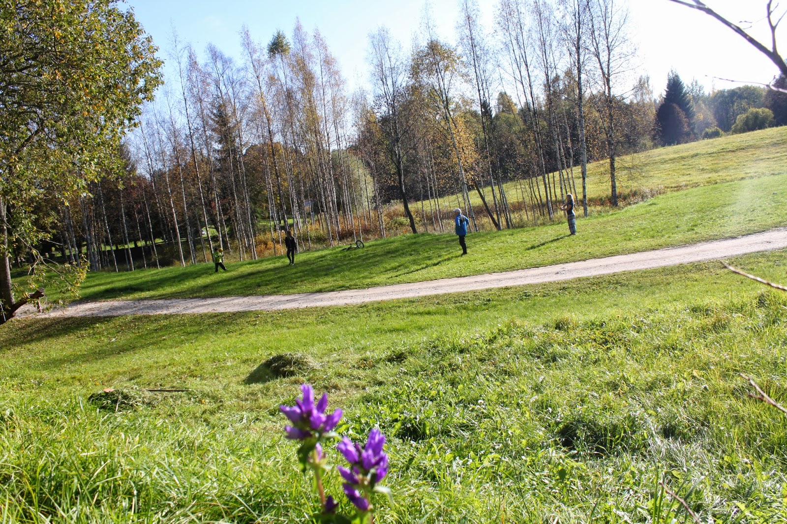 Vaskna Turismitalu: JALGPALL