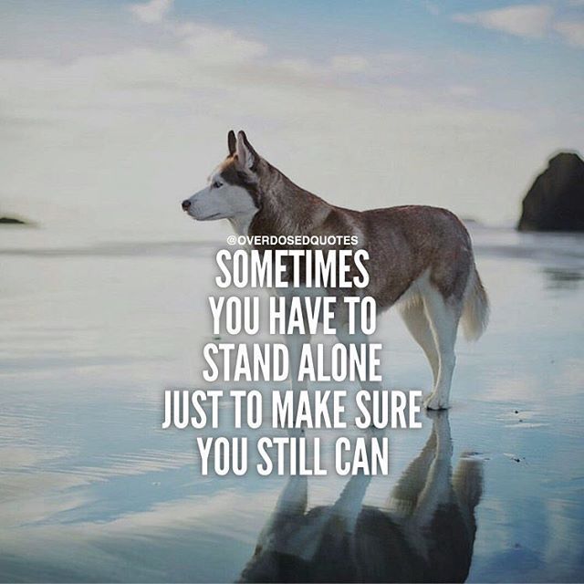 1 Own Inspirational Quotes Best Quotes About Life Motivational 1-own-inspirational-quotes-best-quotes-about-life-motivational