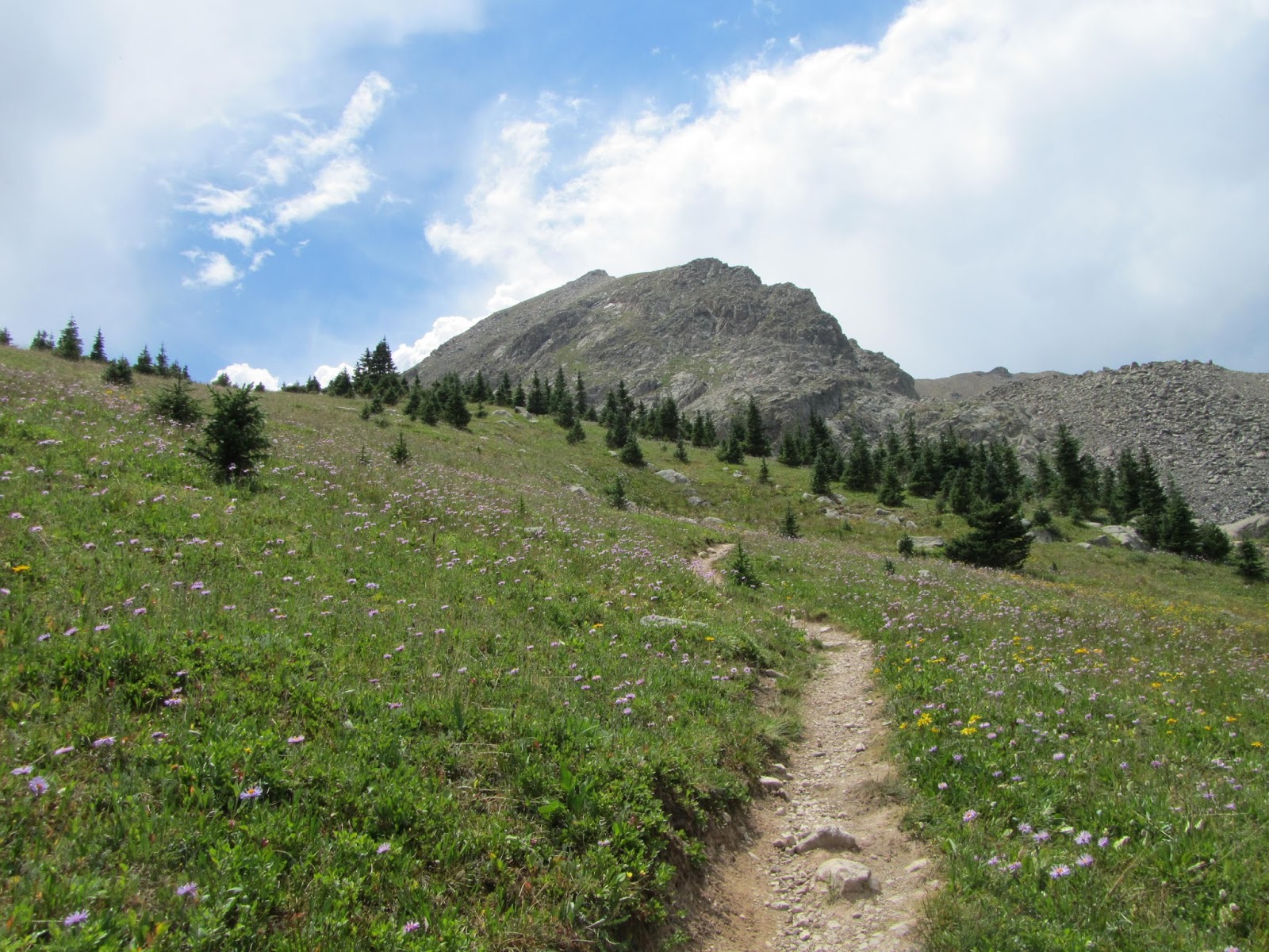 Tomcat's Outdoor Adventures: Backpacking the Collegiate Loop