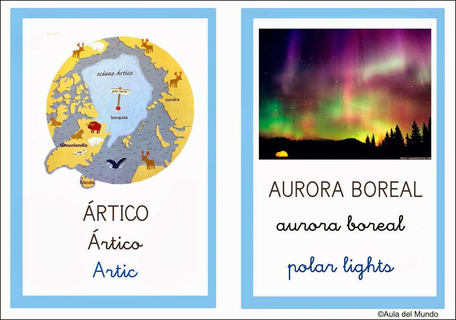 Menudos "savios" por el mundo: Artic vocabulary