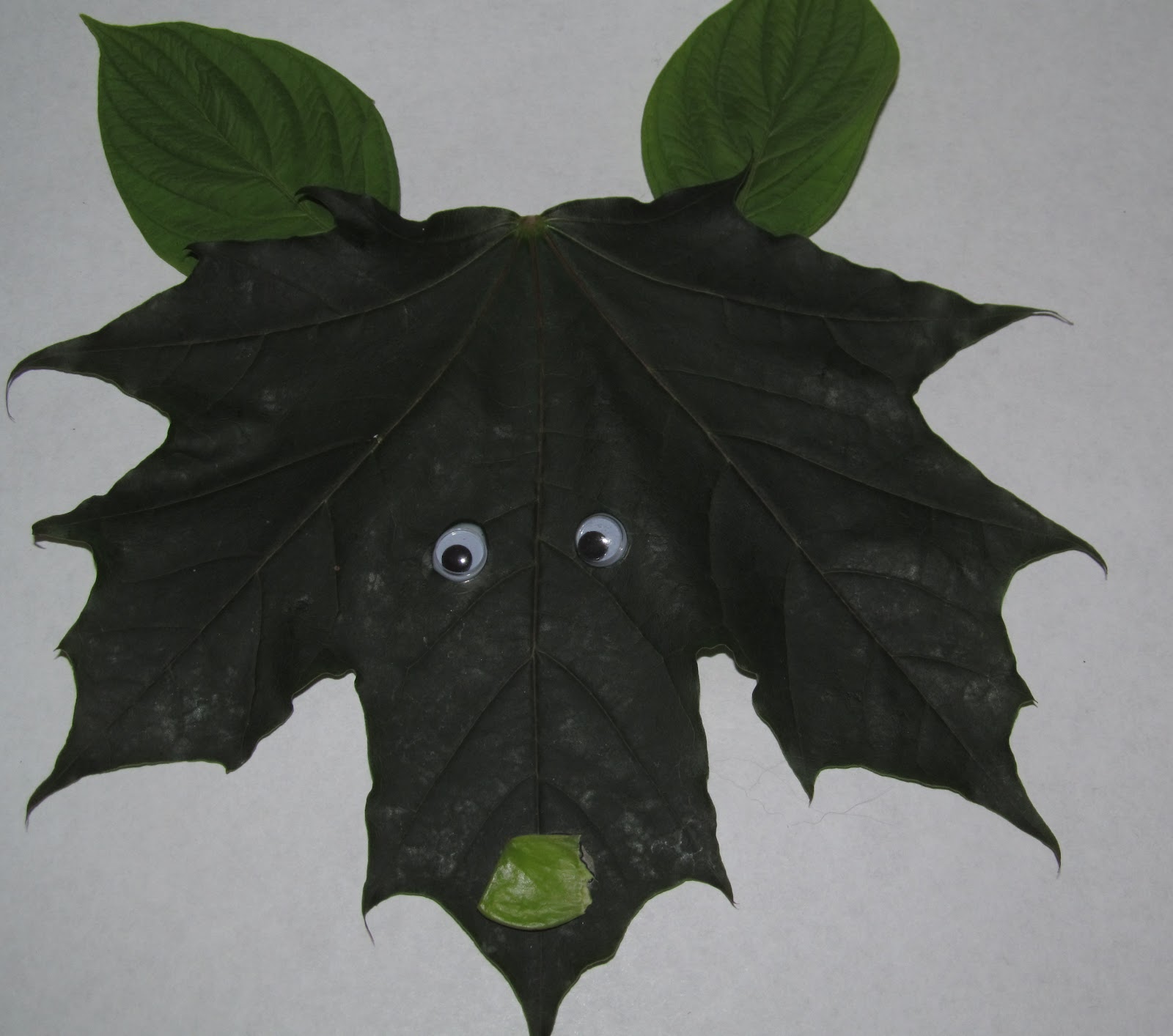Building Healthy Families: Leaf Creatures