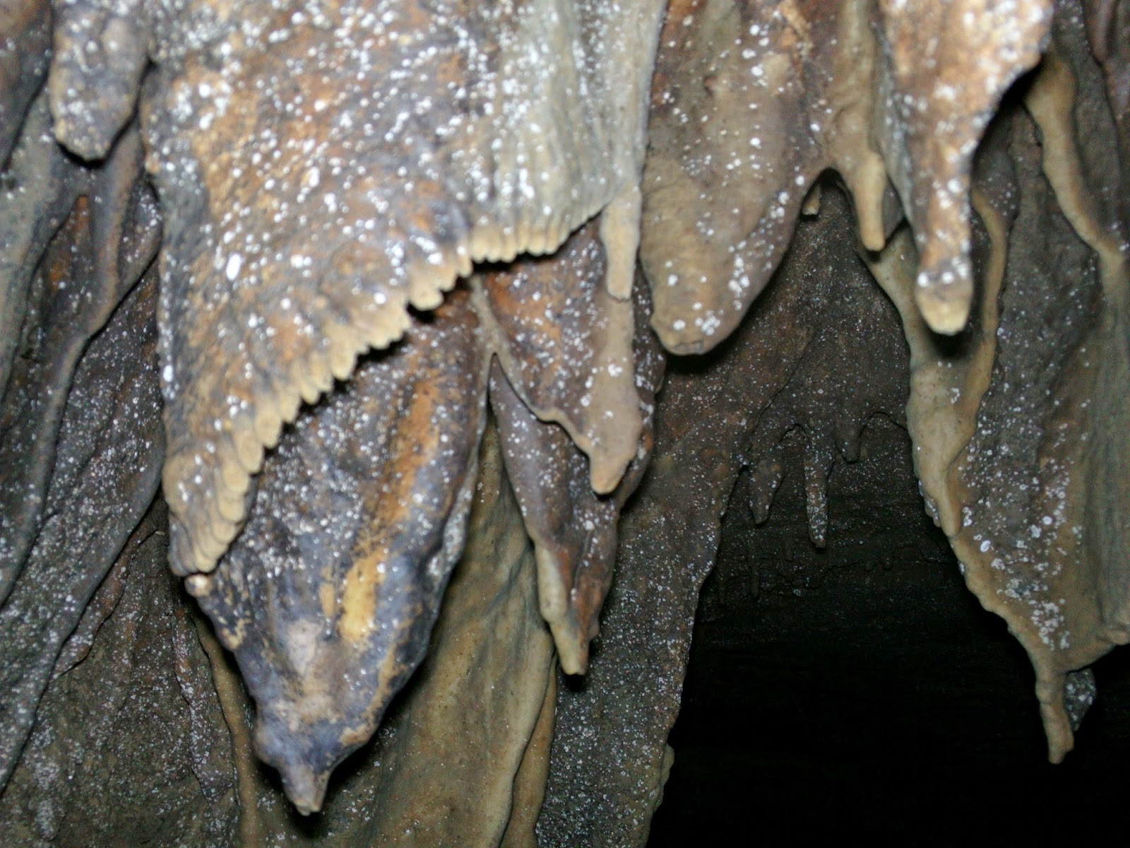 PORTER & LOST BOY CAVE - ADAM HAYDOCK