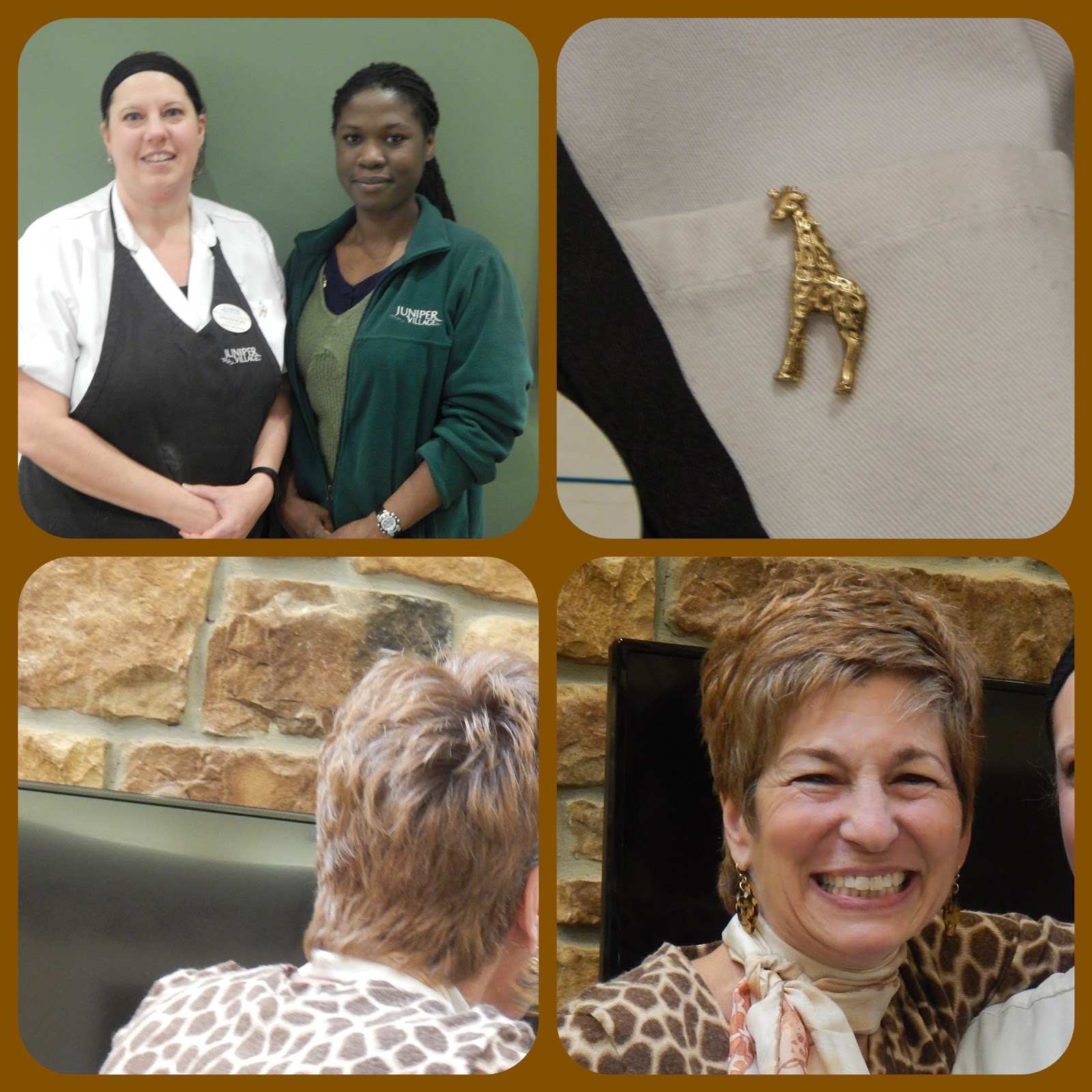 Juniper Village at Brookline Wellspring Memory Care: Cohen and ...