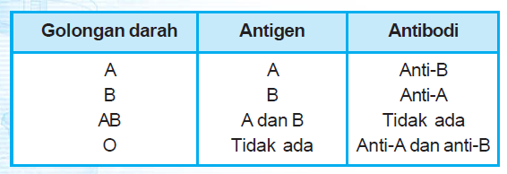 Pengertian Macam-Macam Jenis Golongan Darah Serta Cara Menentukan ...