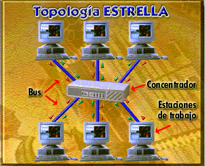•SELECCIONAR LA TOPOLOGÍA DE UNA RED ~ NET