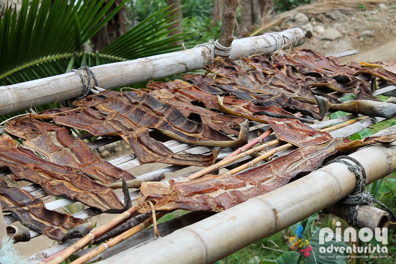 THINGS TO DO IN BATANES: Batan Island South Tour - "Amazing Places to ...