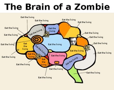 Física en la ciencia-ficción: Funcionamiento de un cerebro zombie