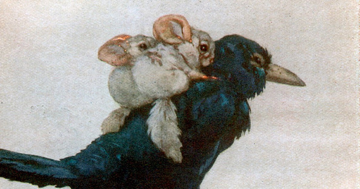 ART & ARTISTS: Harry Rountree - part 3