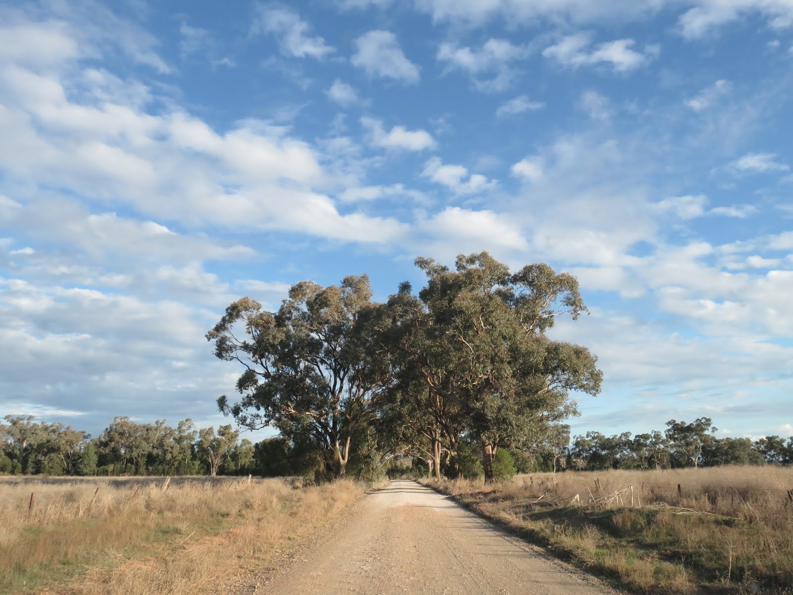 jannimary: A Long, Long Weekend Part 4 - Camping at Ponto Falls