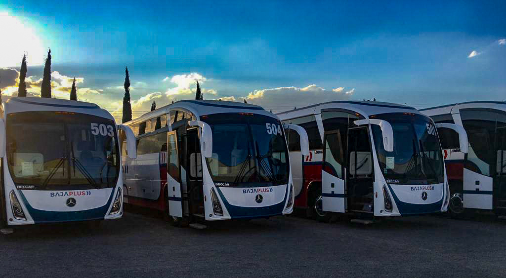 Incorporó Autotransportes Ejecutivos del Norte, 8 autobuses Beccar B340 ...