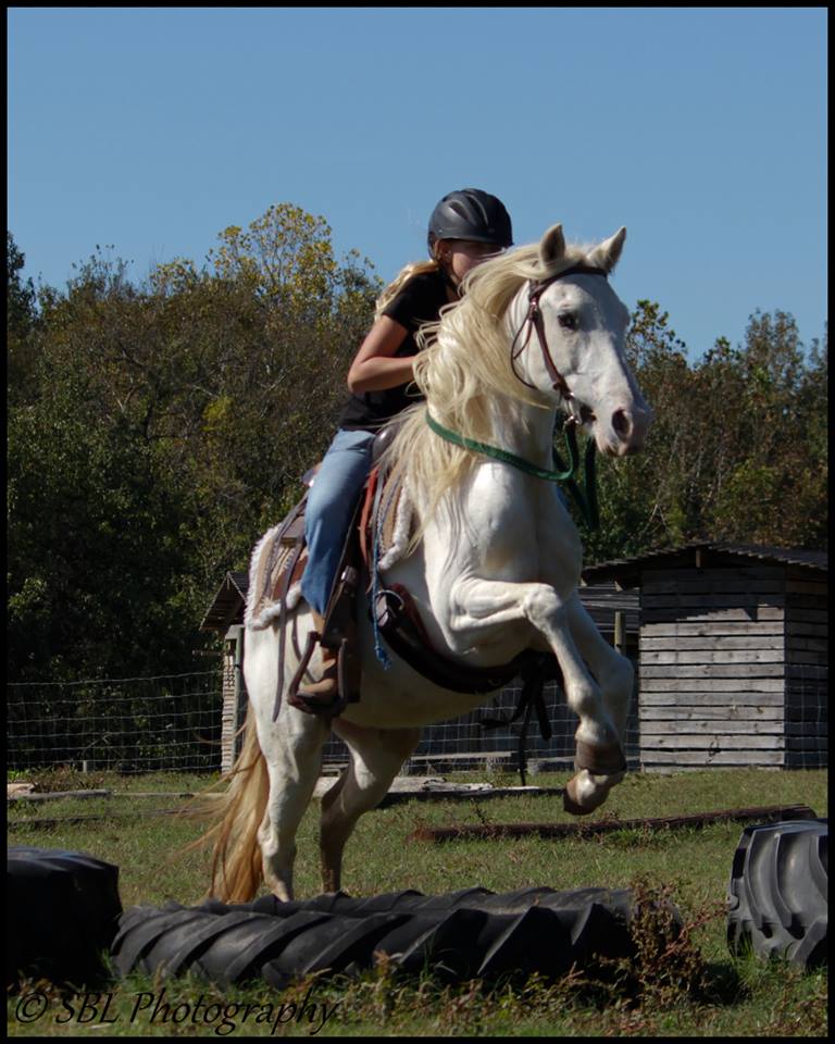 Mill Swamp Indian Horse Views: Making Colonial Spanish Horse ...