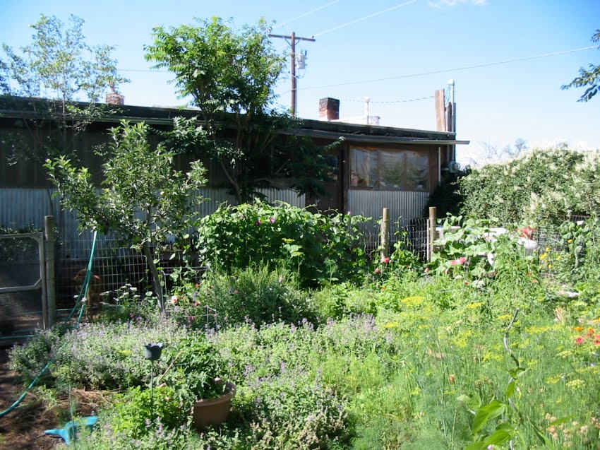 Priorities – Stephen Bodio