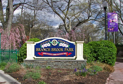 Endangered New Jersey: Branch Brook Park
