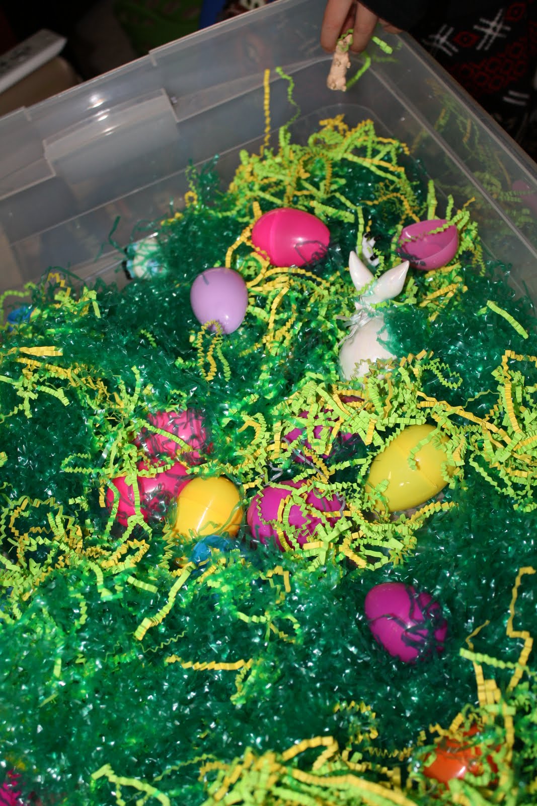 The Exploration Station