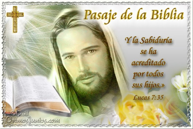 Vidas Santas: Santo Evangelio según san Lucas 7:35