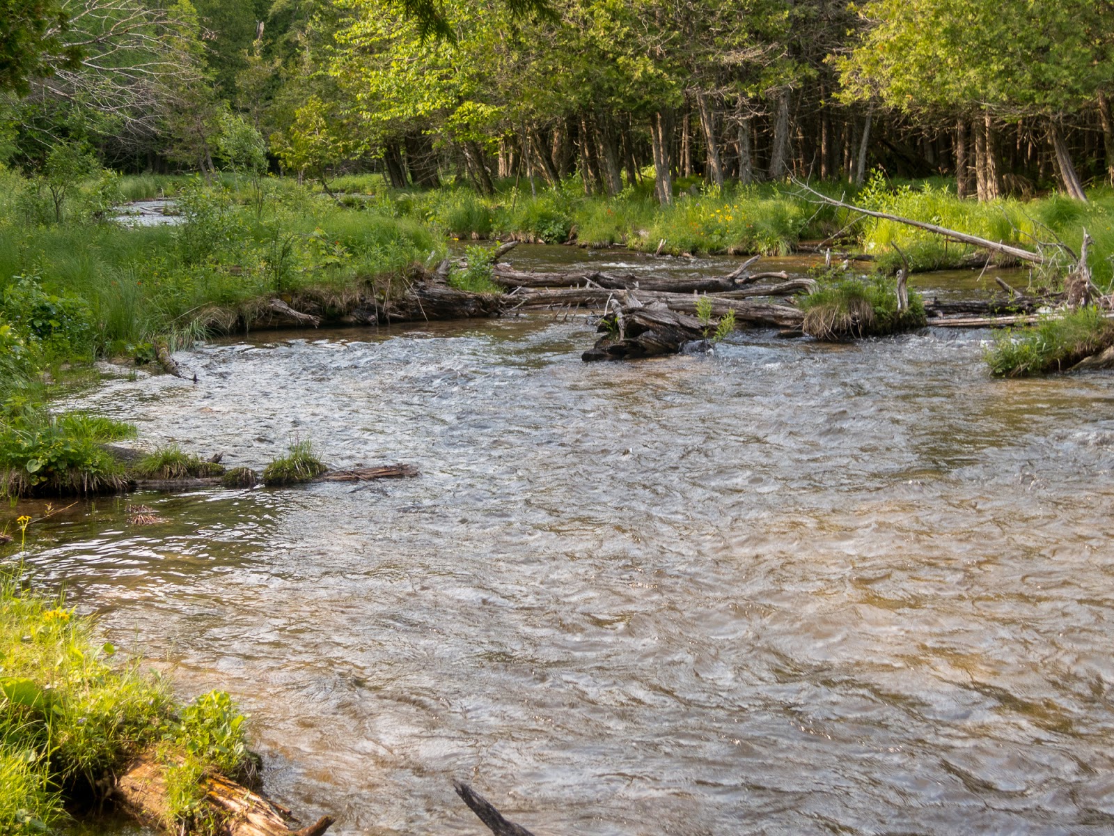 Eric's Hikes: Jordan River Pathway/NCT loop