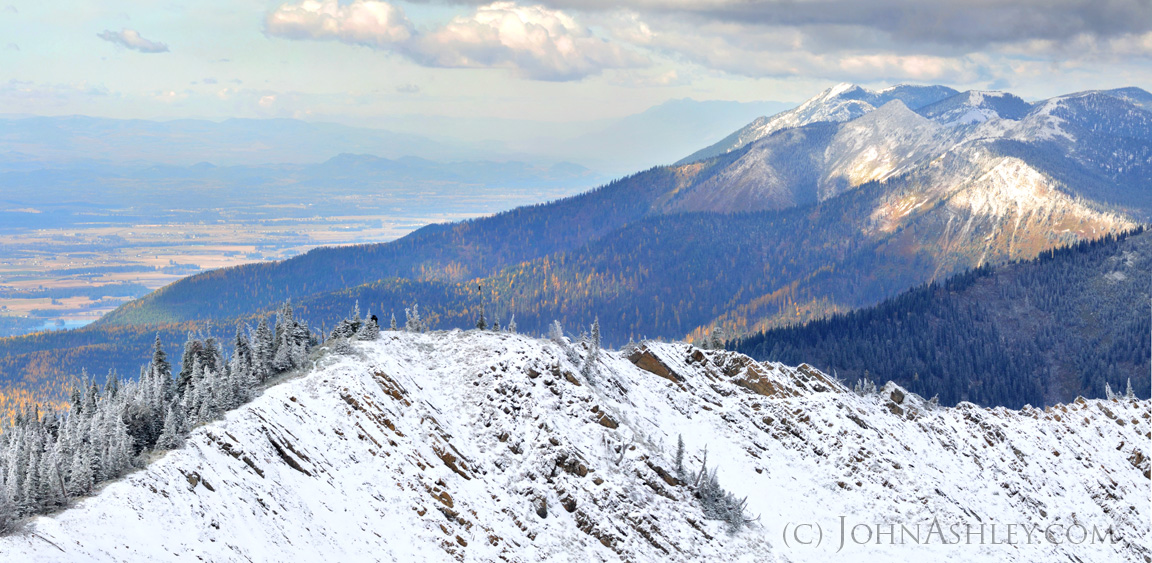 Wild and Free Montana: Hawk Watching