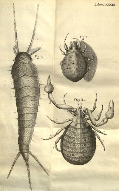 facsimilium: Micrographia