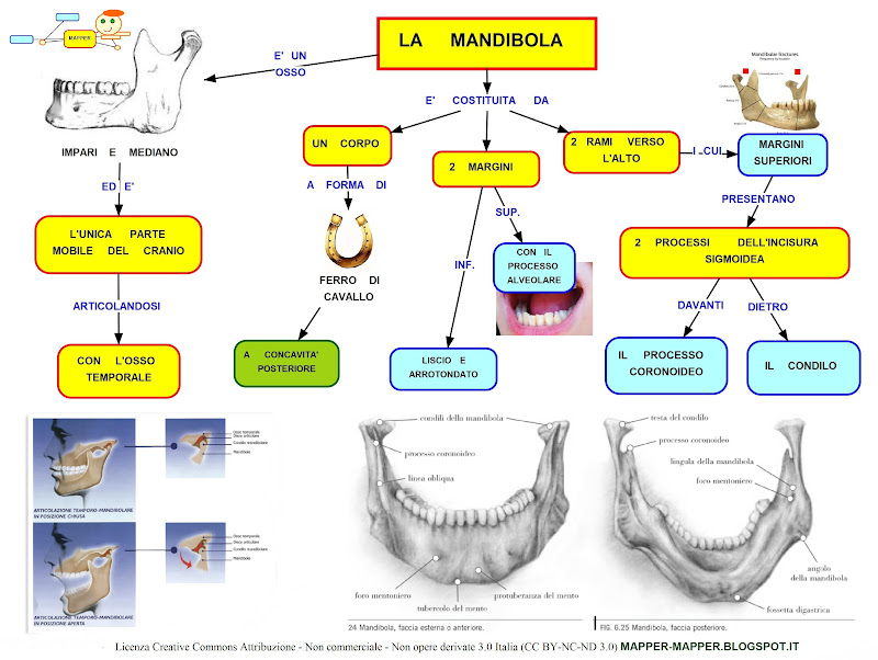 MAPPER: MANDIBOLA