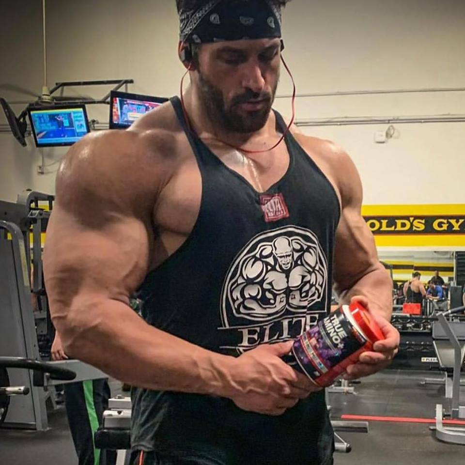 the beauty of male muscle: Andy