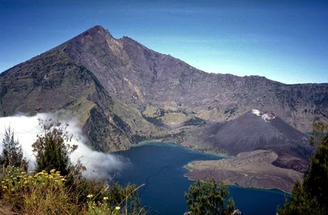 BUNGA YANG MELAMBANGKAN KEABADIAN ADA DIGUNUNG RINJANI ~ BDSLcom