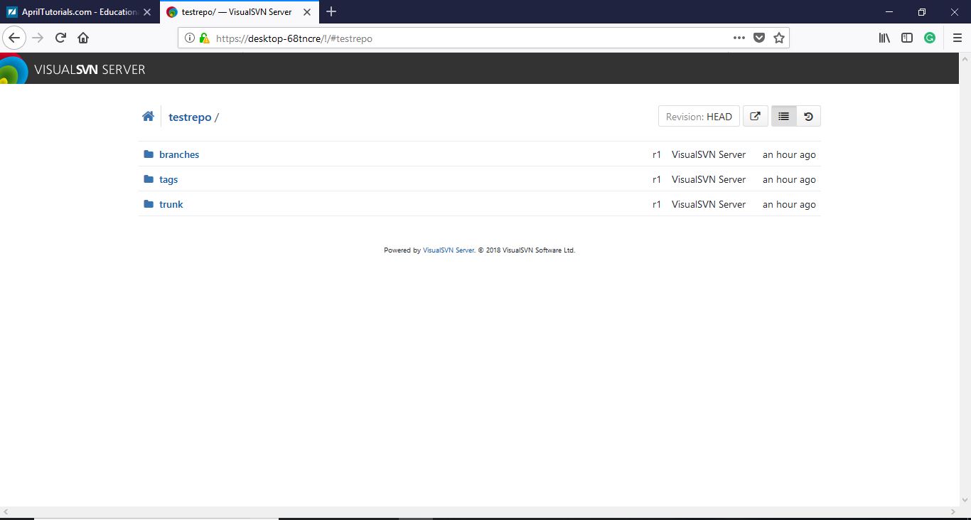 SVN Server Setup Test - BunksAllowed