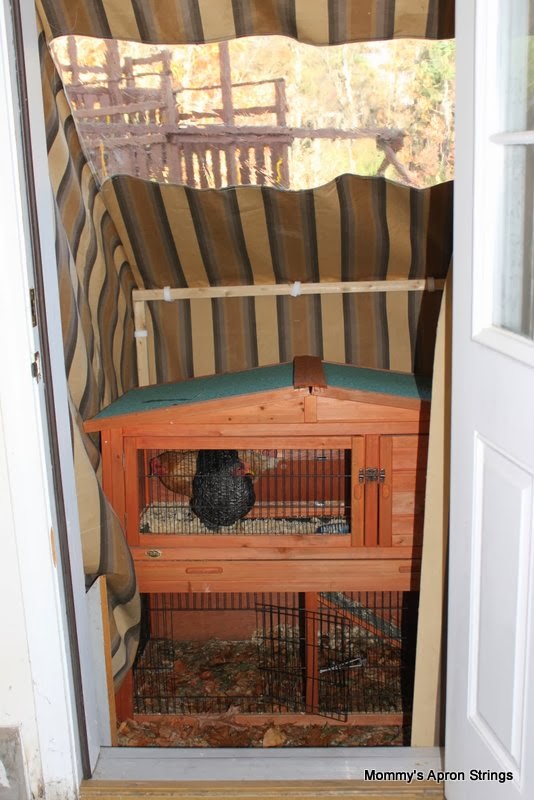 Mommy's Apron Strings: Biggest Project Ever: Chicken Tent!!