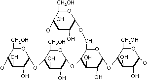 Ernæring, mat og kultur: Karbohydrat- Kroppens største energikjelde