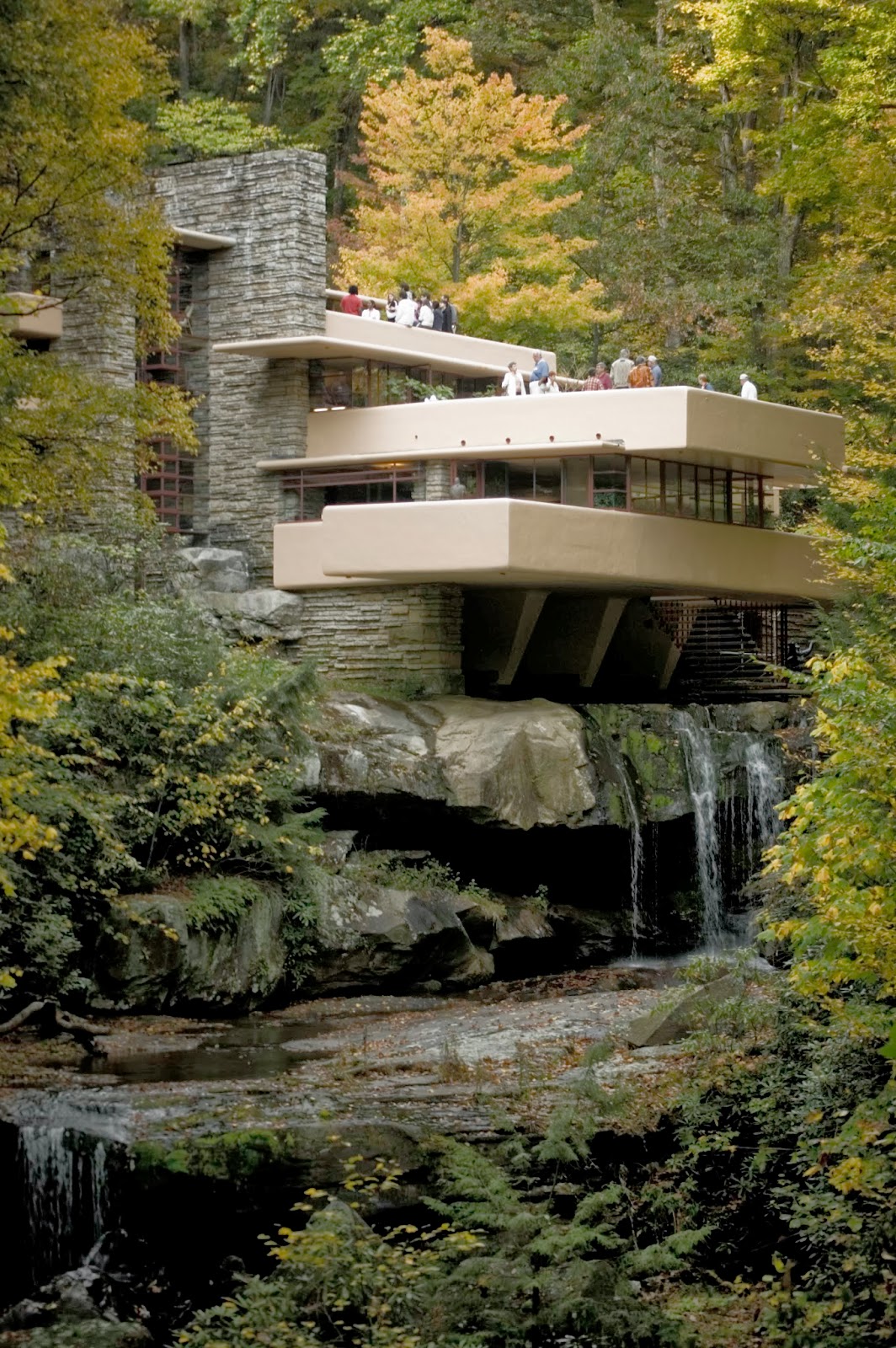 A school of fish: Fallingwater models