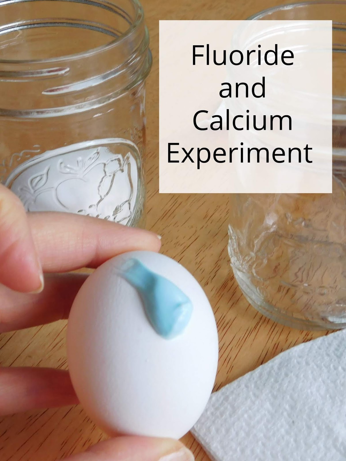 100 Days of Science #54-- Fluoride and Calcium Experiment