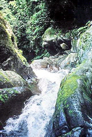 Taytay Falls (Majayjay, Laguna) – B.L.A.S.T. – Live Life to the Fullest ...